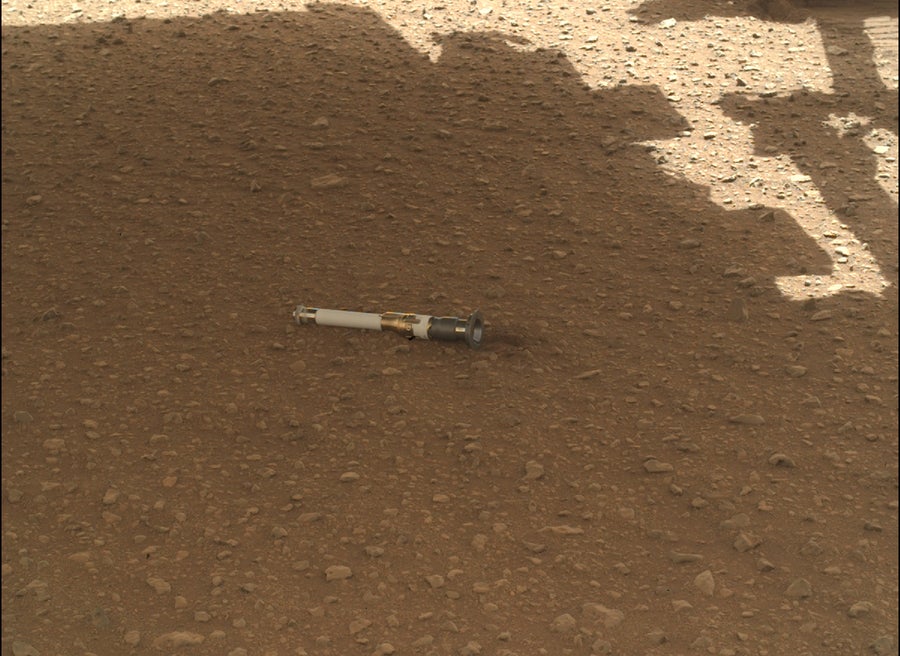 NASA's Perseverance Rover May Already Have Evidence of Ancient Martian ...